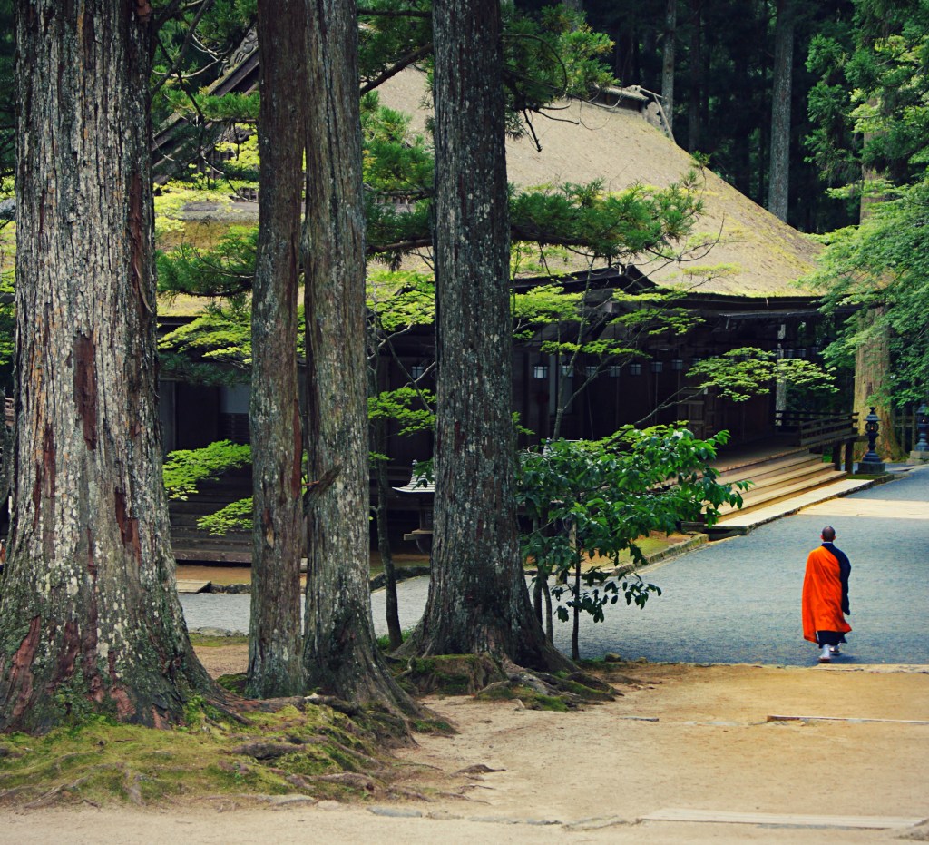 3rd International Lawyers’ Photography Awards: Photo from Ruth Keating ...